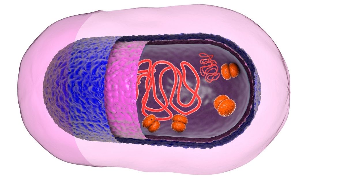 Prokaryotic Cells – Biology Rules!