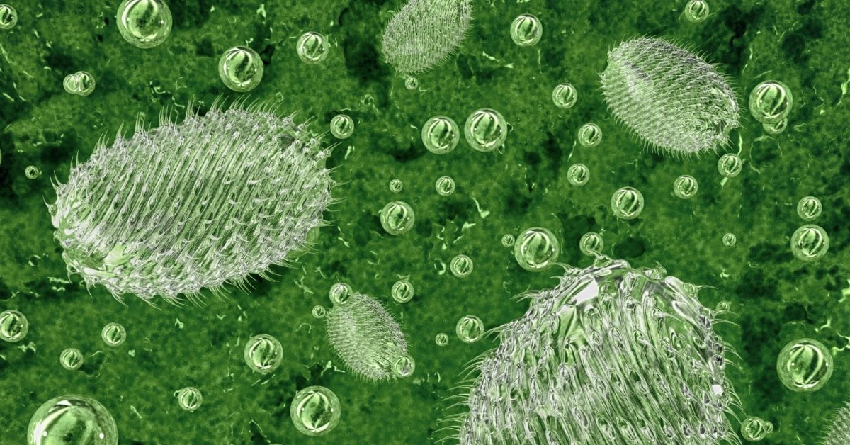 Protozoans and Viruses – Biology Rules!