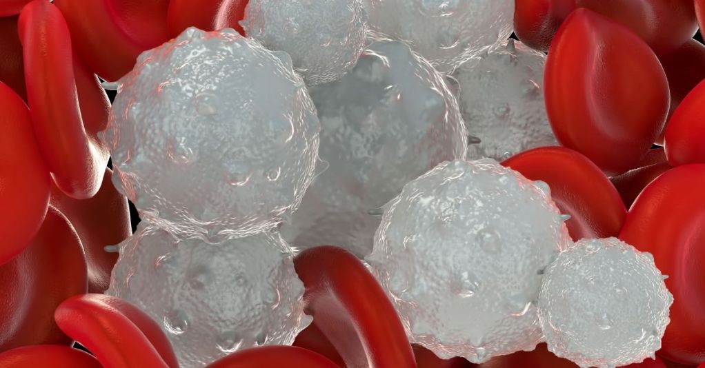Human Cell Defenses Intro – Biology Rules!